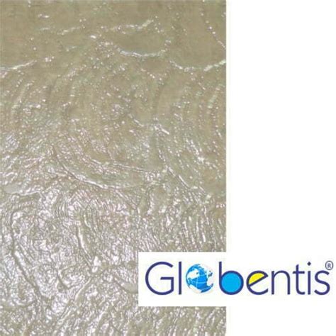 Globentis Ps Decoretive Wall Panel Ep 13 A Woodzon