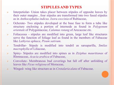 Morphology Of Leaf With Special Reference To Leaf Shape Surface