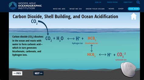 Equilibrium And Ocean Acidification Planetary Boundaries