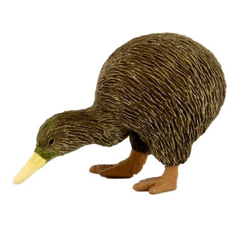 Science And Nature Small Kiwi Minizoo New Zealand Animal Models