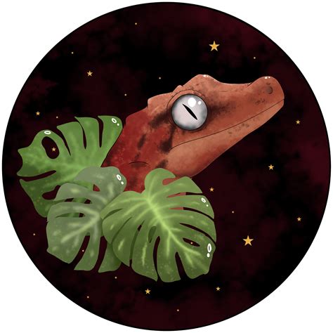 Imgur The Magic Of The Internet