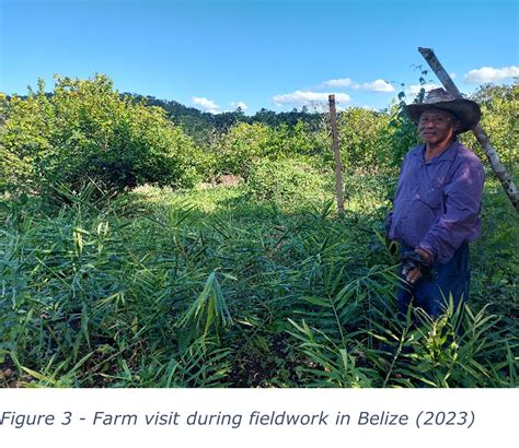 Betsa 3 The Geog Blog