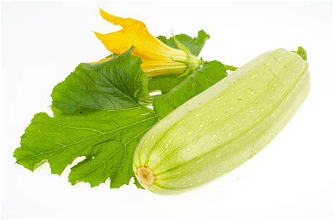 Beyaz Sakız Kabak Tohumu 10 Gr Melih Tarım