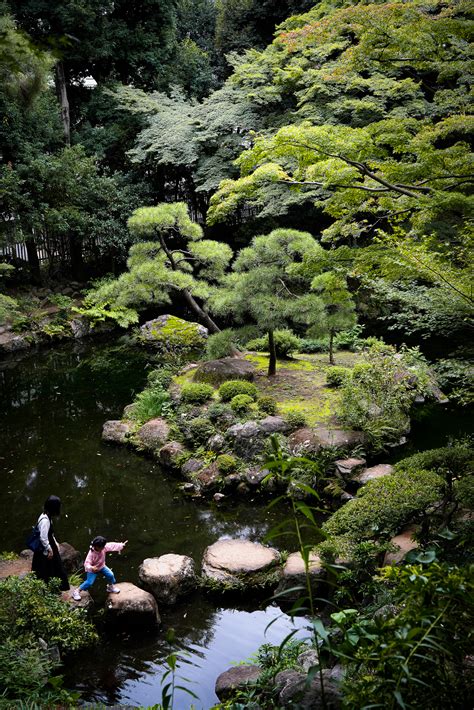 【殿ヶ谷戸庭園 東京散歩】東京にある庭園に高低差のあるところが多いのはそのような地形だと眺望も良いし、滝も作りやすいからなのだという Photo By