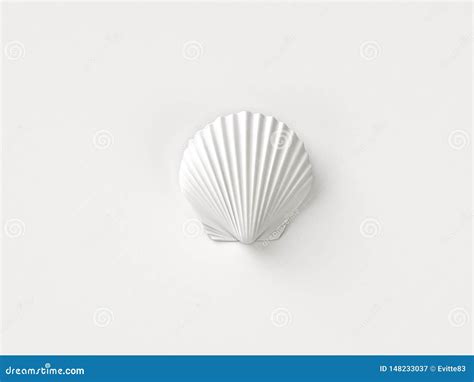 Sea Shell On Gray Minimal Style Background Travel Concept 3d Model Render Visualization