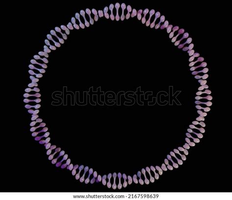 49 Circular Plasmid Royalty Free Photos And Stock Images Shutterstock