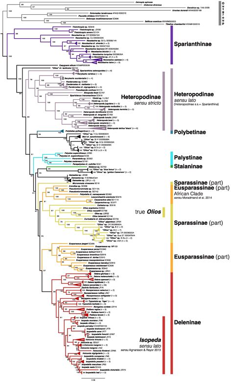 Phylogeny Entomology Today