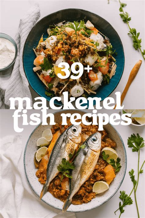 15 Simple Spanish Mackerel Recipes Youll Love To Try