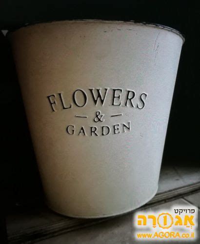 תמונה של דלי למסירה בחינם מודעה 2617108