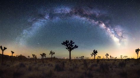 Joshua Trees Milky Way California United State Kde Store