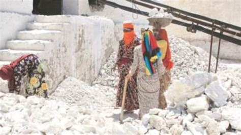 The Case Of Female Labour Force Participation Opinion News The