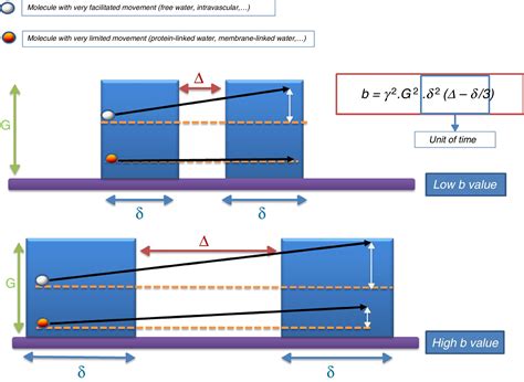 Advanced Diffusion Mri And Biomarkers In The Central Nervous System A