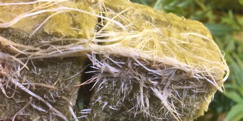 Ecological Concerns Build Over Rockwool Manufacturing And Health