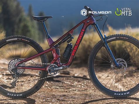 Vital Mtb First Ride Collosus T8 Mtb Polygon Bikes Ca