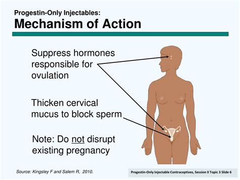 Ppt Pre Service Education On Fp And Aysrh Powerpoint Presentation Free Download Id 9086492