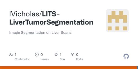 Github Lvicholaslits Livertumorsegmentation Image Segmentation On