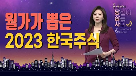 온앵커의 당잠사 월가가 뽑은 2023 한국주식 머니투데이방송 증시 증권 Youtube