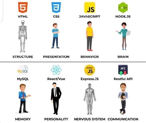 Muddassir Ali Rana On Linkedin Illustration Of Web Development