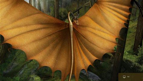 Cartoon Book Of Dragons Timberjack