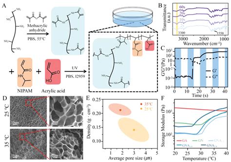 Synthesis Of Gna Hydrogel And Thermoresponsive Behavior A Schematic