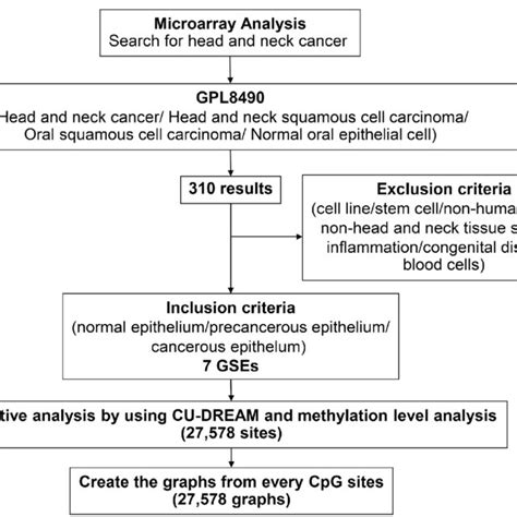 Flowchart Of The Bioinformatic Analysis Download Scientific Diagram
