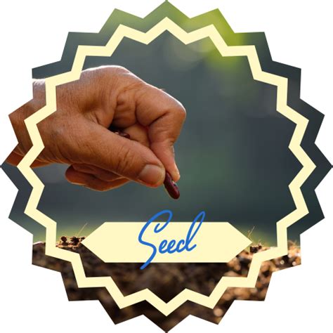 November Program Week One Kanmowrico