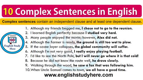 Sentences Archives English Study Here