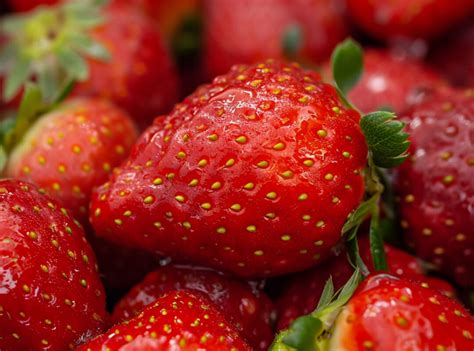 Sirunki Farm Enga Government