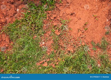 Grass Grow In Red Clay Stock Image Image Of Grunge Grass 27955611