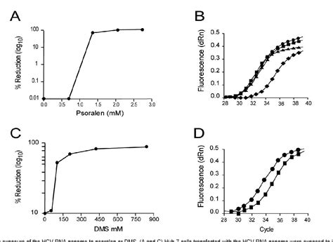Figure 4 From A Method For In Situ Localization Of Single Strand And