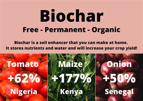 Crop Yield Increase Examples Bottom Up Biochar