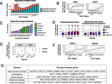 Evolutionary Conservation And Divergence Of The Human Brain Transcriptome Pmc