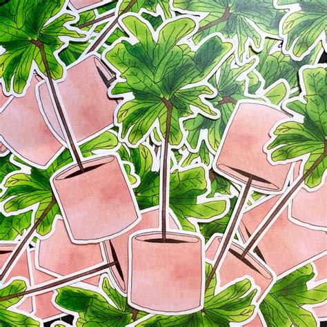 Fiddle Leaf Fig Sticker The Juliet Report Store