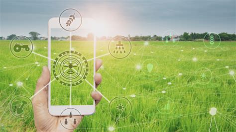 How To Know Youre Ready For Fdas Traceability Rules