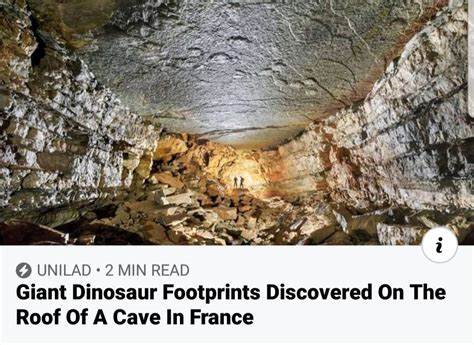 Spider Rex Spider Rex Does Whatever A Spider Rex Does Scrolller