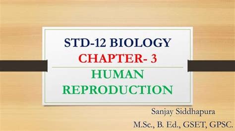Human Reproduction Pptx Class Xii Biology Ppt