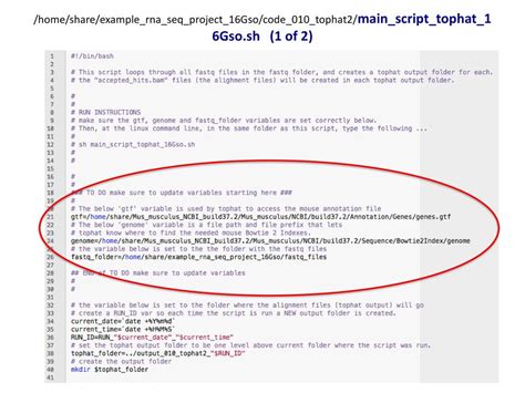 Stubbs Lab Bioinformatics 3 Review Rna Seq Analysis Overview
