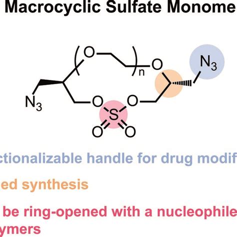 Advantages Of The Macrocyclic Sulfate Monomer In This Research
