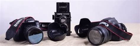 مریم شبانی User17492211768 خبرگزاری فارس