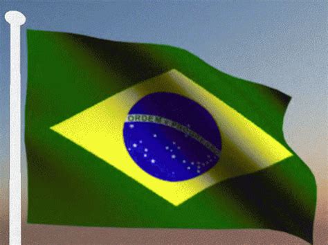 علم البرازيل  Brailian Flag Brazil Discover And Share S