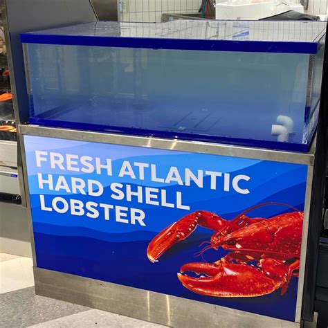 High Quality Lobster Tanks Standard Models And Custom Designs