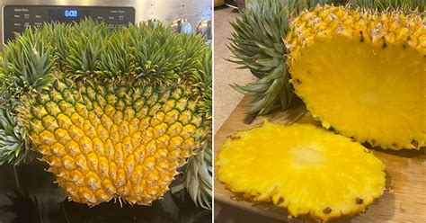 Plants Mutated To Insanely Cool Borderline Creepy Lengths