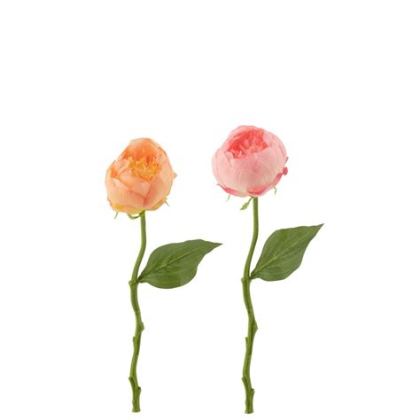 Peony Artificial 2 Assorted
