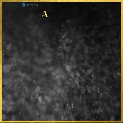 Ramya K On Linkedin Persistence Success Artist Efforts Continuousperformance…