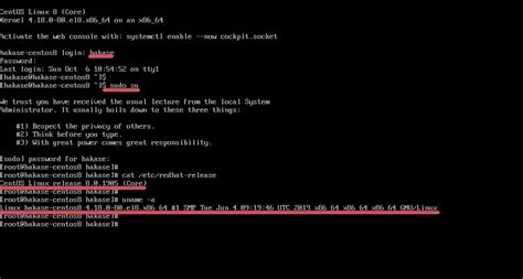 How To Install CentOS 8 Server With Screenshots VITUX