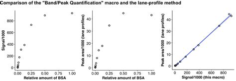 Quantification Of Gel Bands By An Image J Macro Bandpeak Quantification Tool