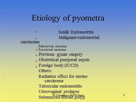 Pyometra Diagnosis And Management