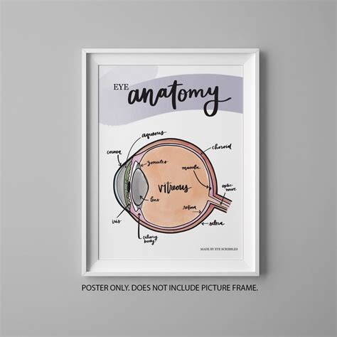 Optometry Wall Art Etsy