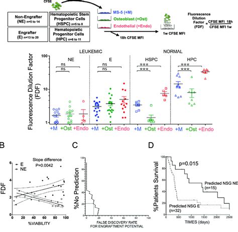 Ex Vivo Aml Sample Proliferation Measure Used To Predict Patient