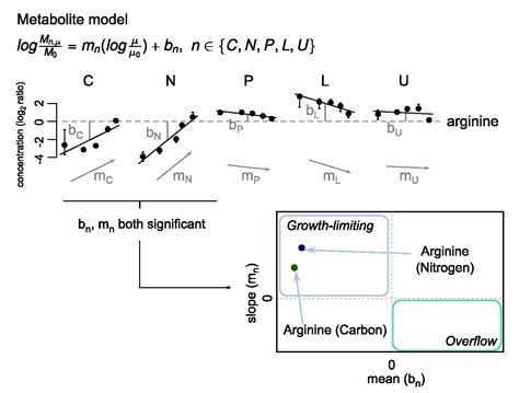 Limiting Nutrient Example